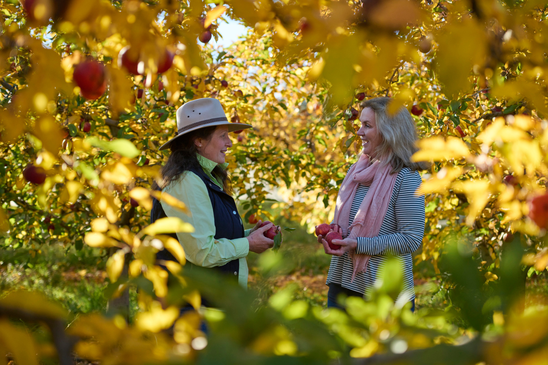 Agritourism Summit to take place in NSW | Meet in Regional NSW