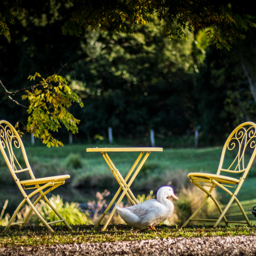 Mavis's Kitchen & Cabins | Meet in Regional NSW
