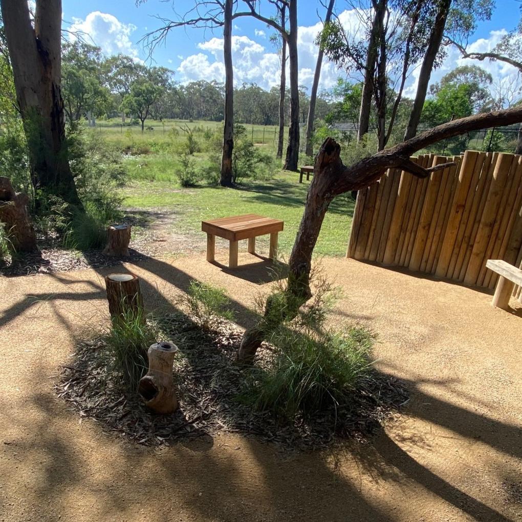 Wild Cat Conservation Centre | Meet in Regional NSW