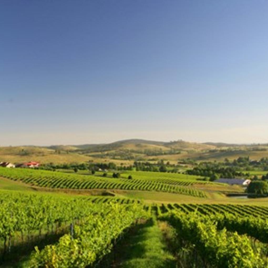 Turners Vineyard Motel and Function centre | Meet in Regional NSW