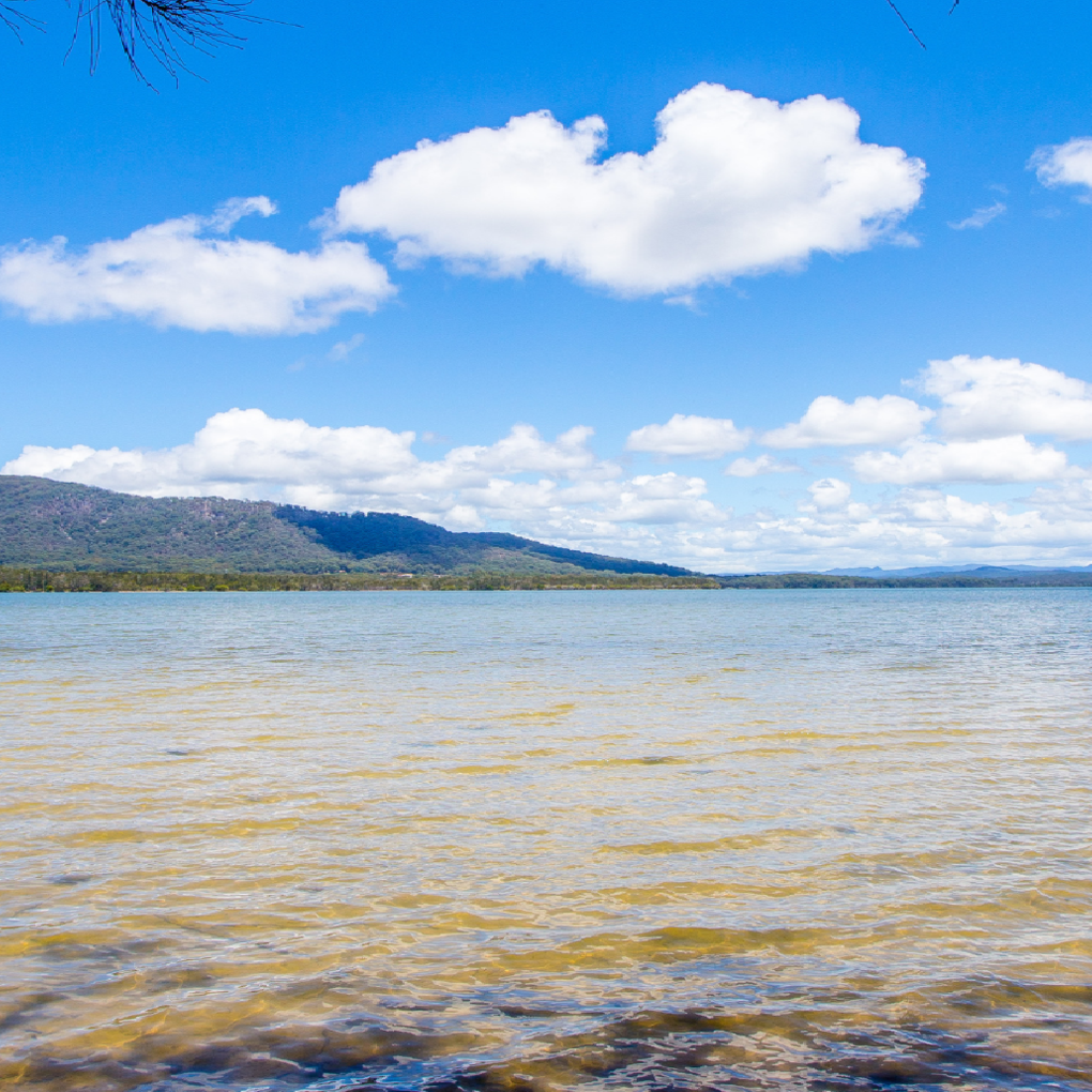 Mansfield Estate | Meet in Regional NSW