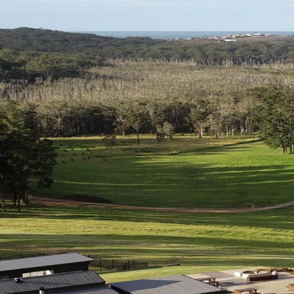 Mansfield Estate | Meet in Regional NSW