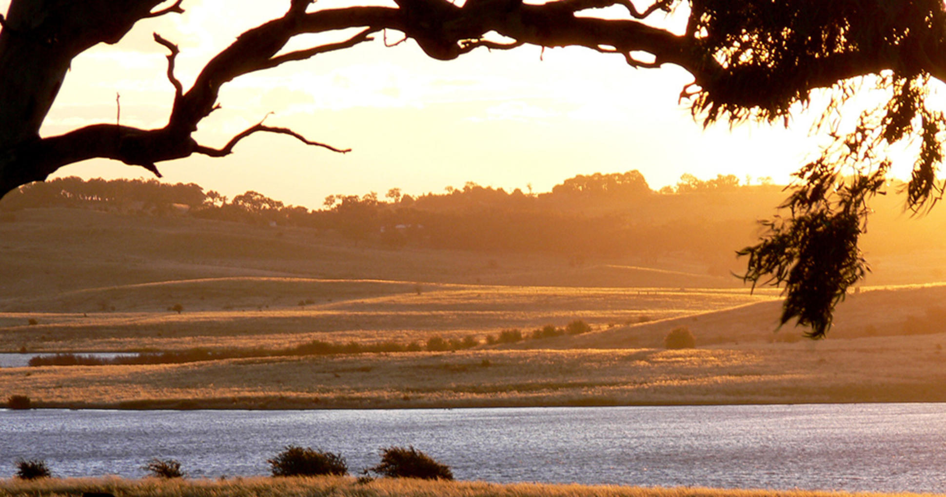 Country NSW South | Meet in Regional NSW