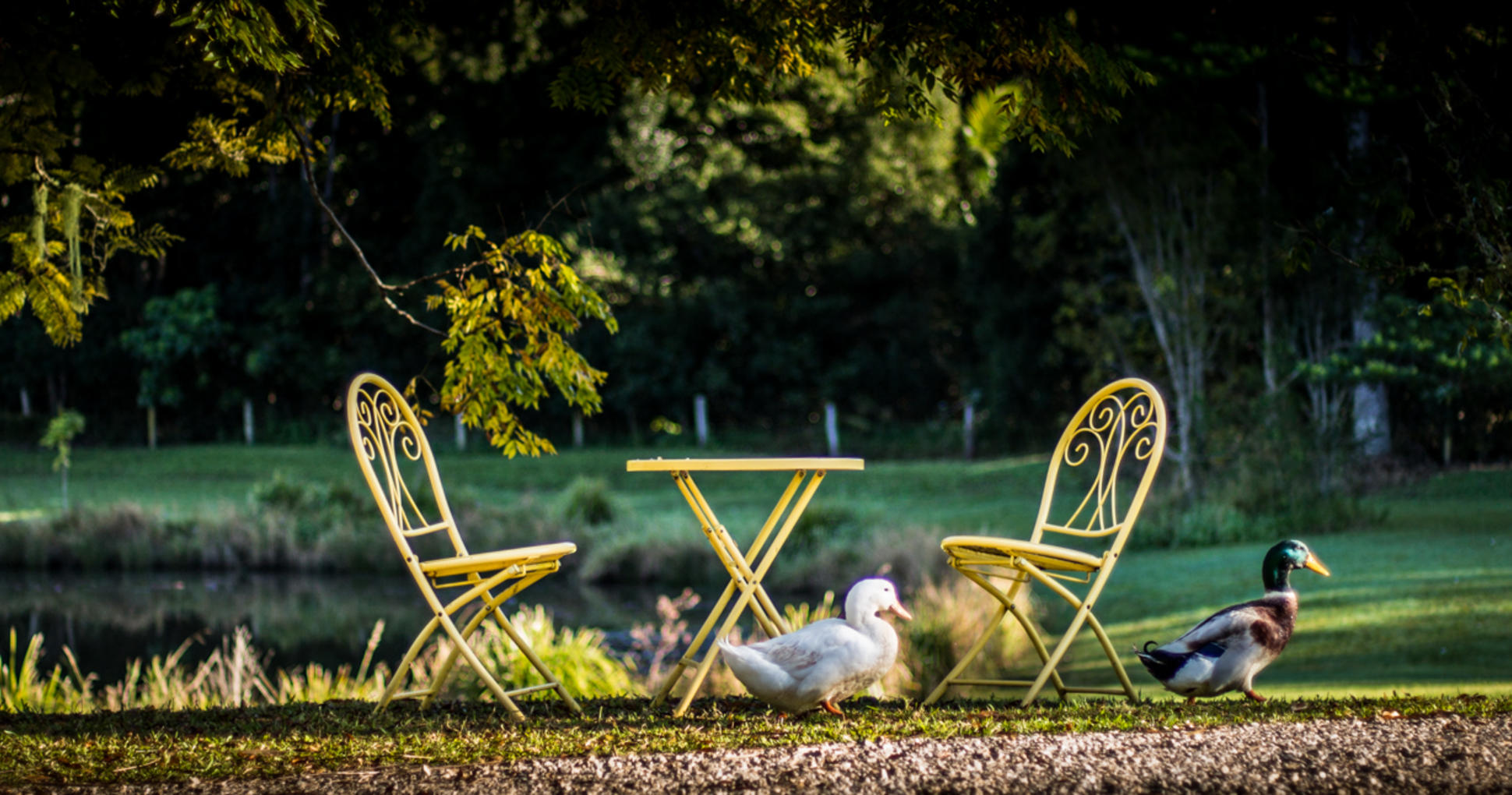 Mavis's Kitchen & Cabins | Meet in Regional NSW