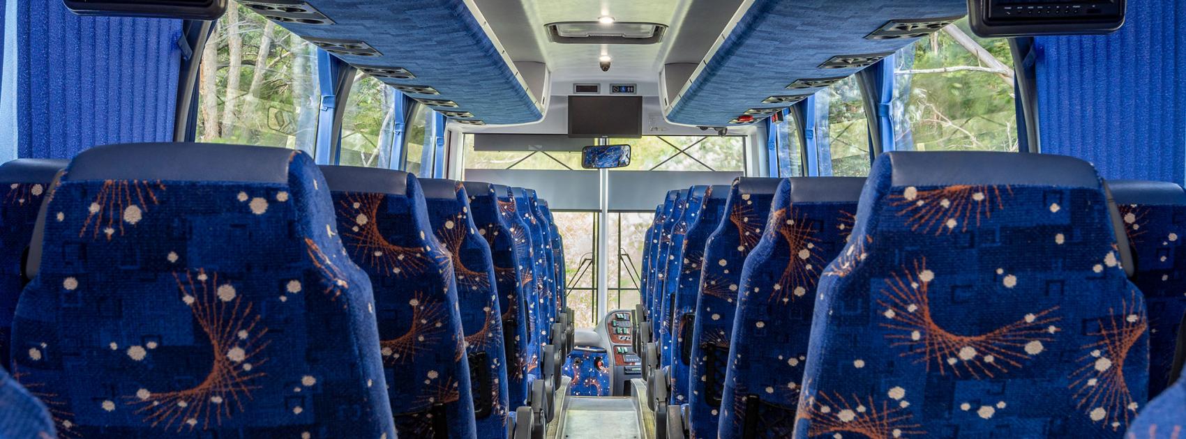 Port Stephens Coaches | Meet in Regional NSW