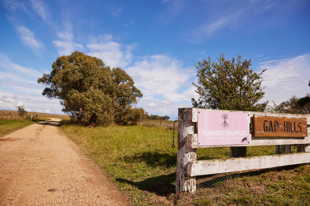 4 hands-on experiences that will immerse you in someone else's world ...